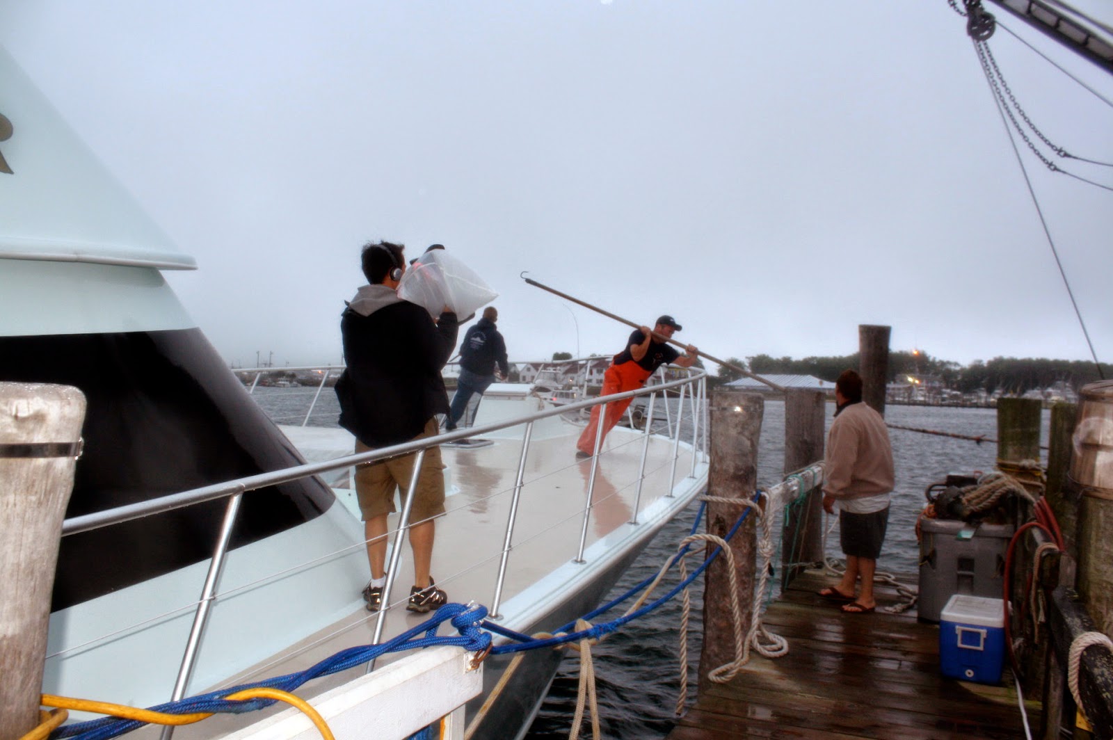 Viking Fivestar Fishing Report: Day 1: Star Island Yacht Club Shark ...