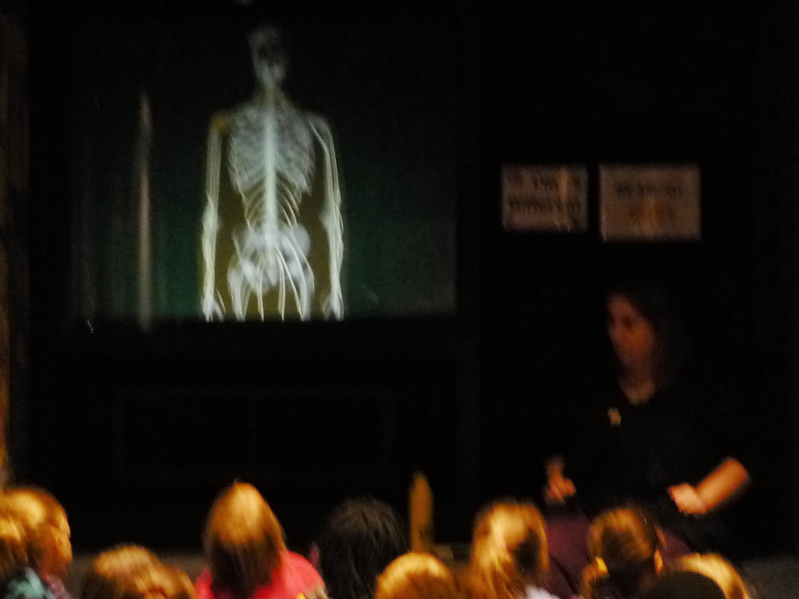 Welcome to Team Pukeko: Life Education Bus