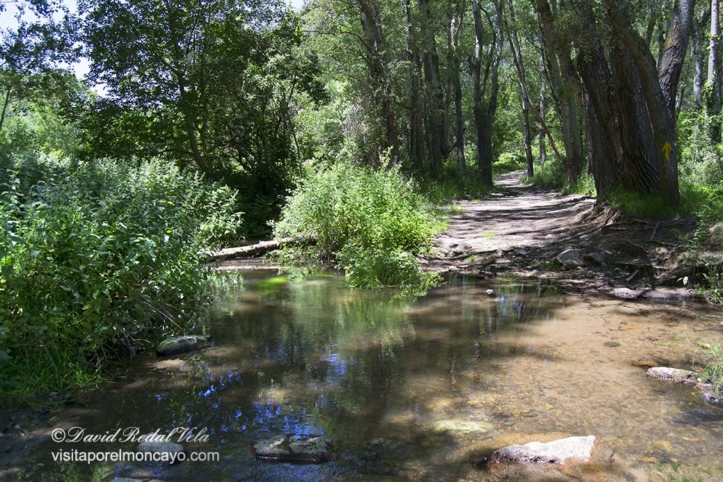 Visita por el Moncayo: Cañón del río Val