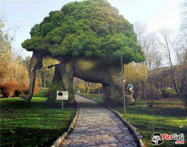 funny absurd: funny tree