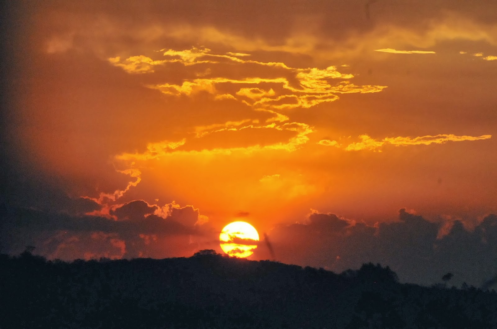 POR ONDE ELE ANDA...: Um dia quente