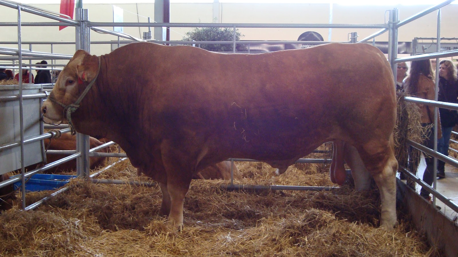 Elke in Beja: Dag 63: OVI Beja