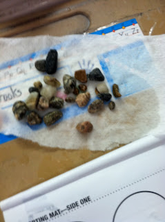 Class 2M9: Sorting Rocks