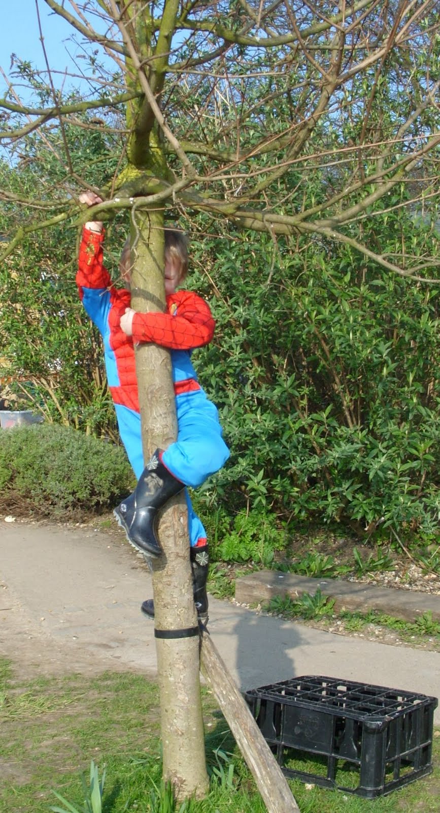 Schemas in Action at Thanet Early Years Project: Good Gracious me! Did ...