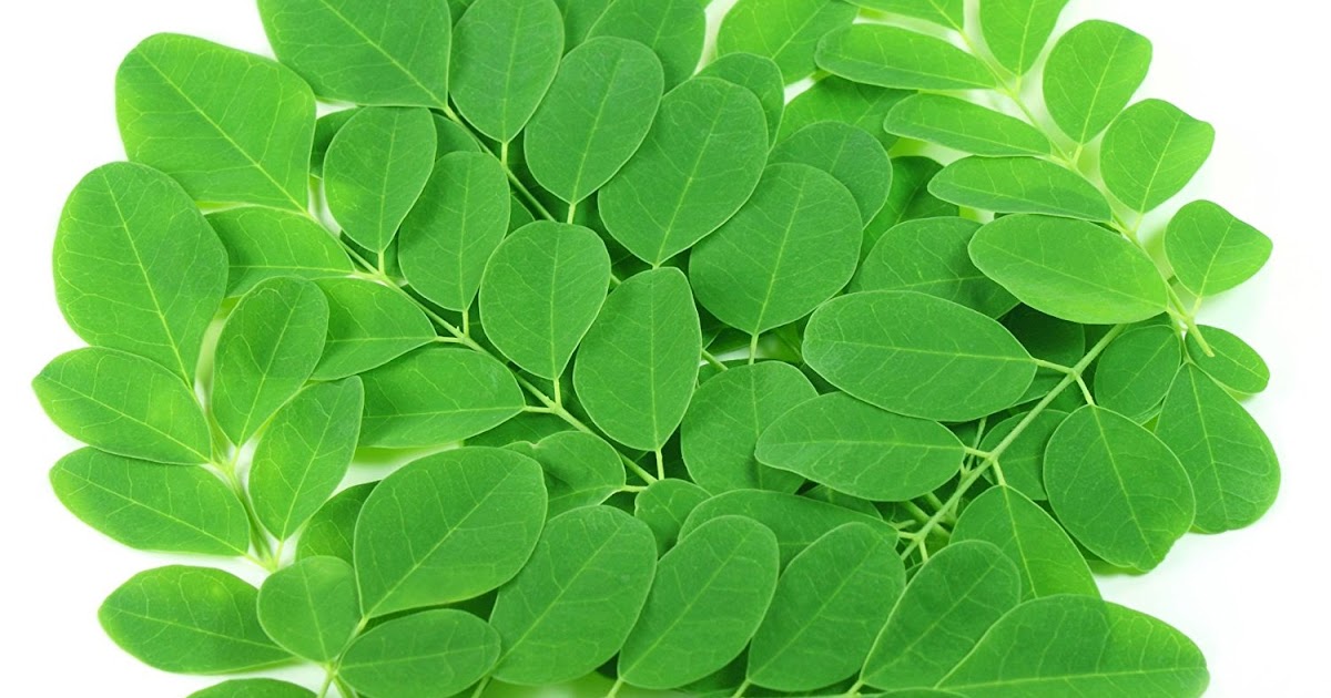 Health Benefits Of Moringa