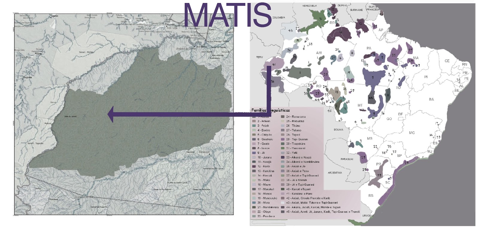 Povos Indígenas Brasileiros: Matis