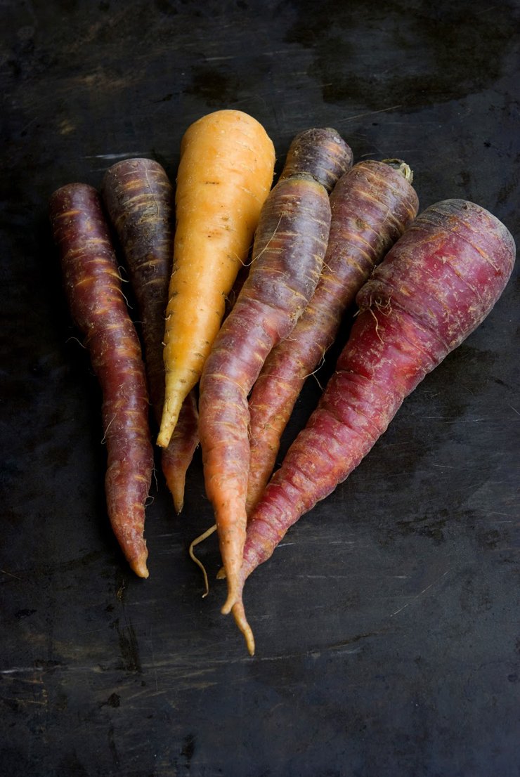 The Roots of Winter - WILD GREENS & SARDINES