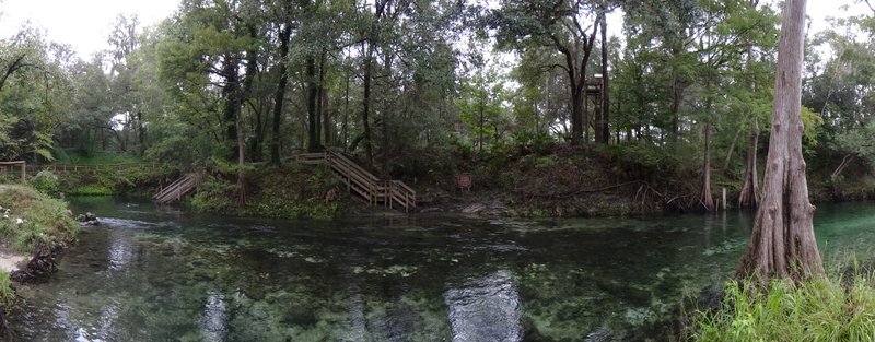 States of Immersion - A Florida Cave Diving Adventure: Madison Blue