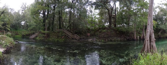 States of Immersion - A Florida Cave Diving Adventure: Madison Blue