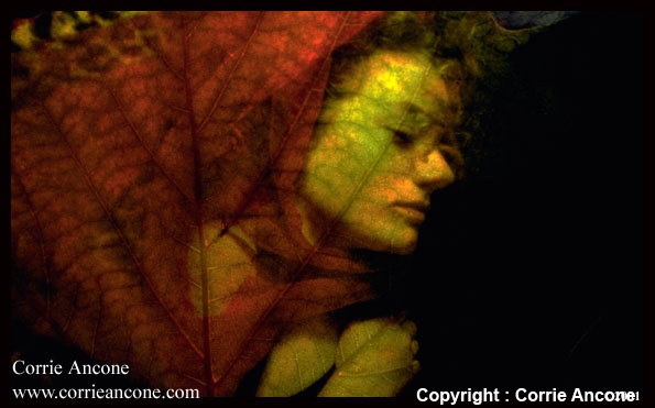 Bdsm Arte y Deseos - I: Corrie Ancone