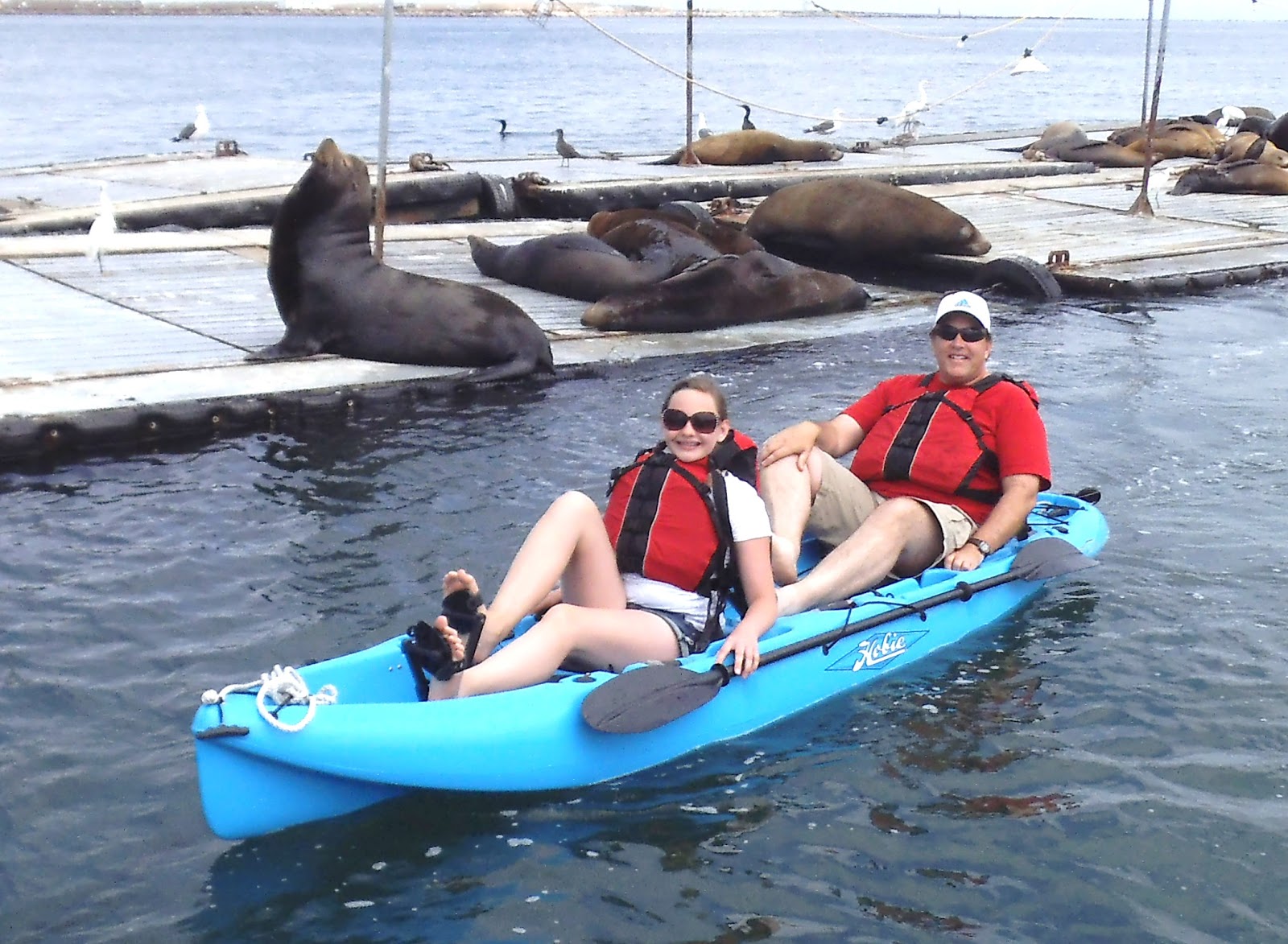 Fun Cat Sailing Catamaran Adventures: 2 in 1 Catamaran / Sea Kayaking ...