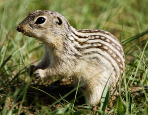 Living with Grace: June 2011