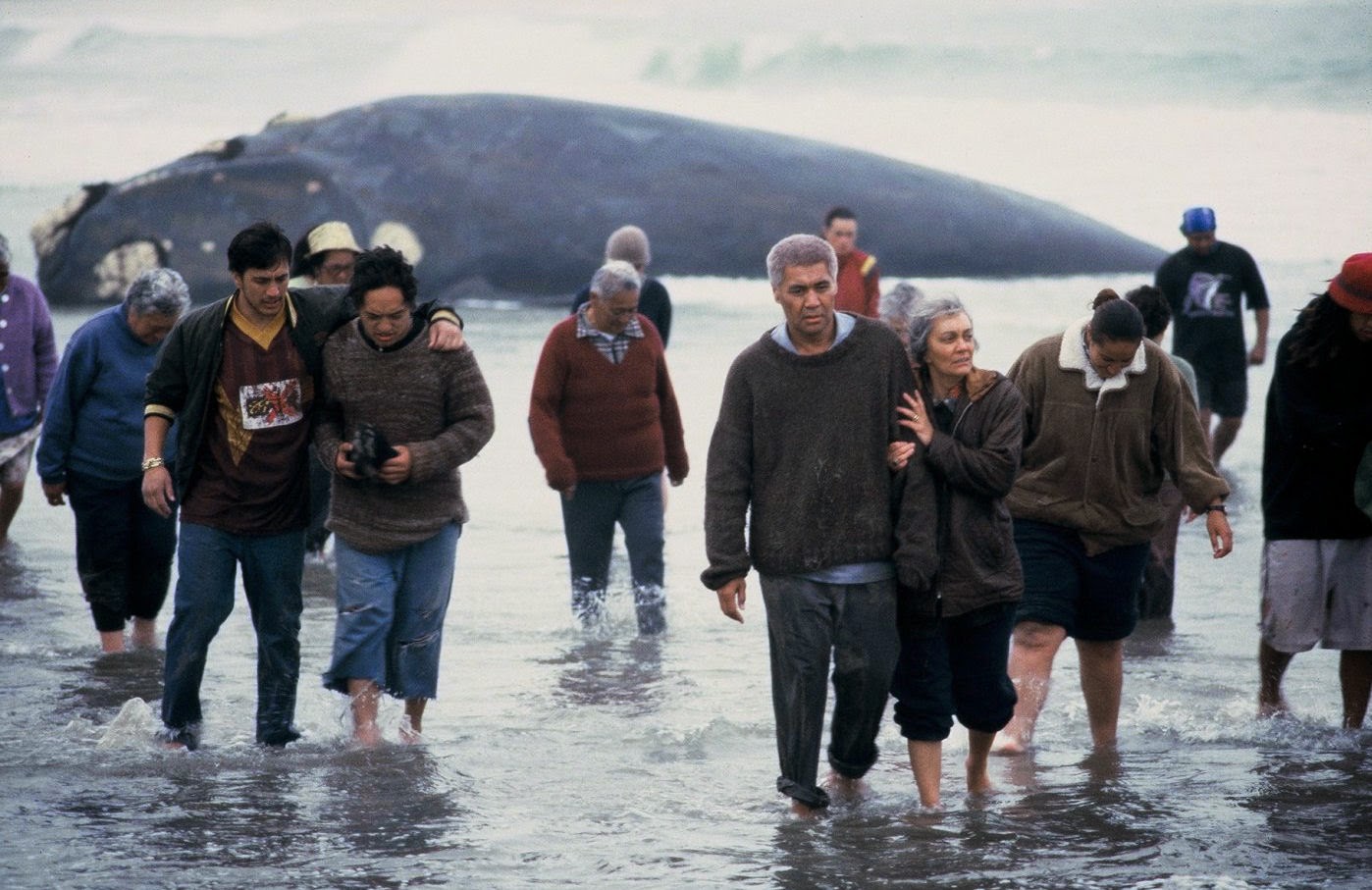 Coming of age films: the transformative moments: Whale Rider