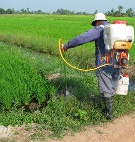 Anim Agro Technology: RACUN MAKHLUK PEROSAK - APA DIA?