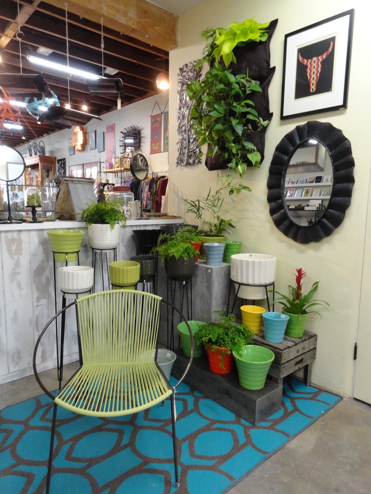 danger garden: Potted, because how could I not? And then I drove around ...