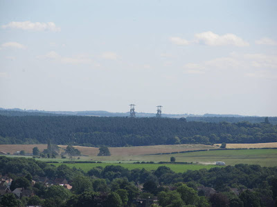 UK Wanderings: Oxclose Wood and Meden Trail