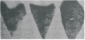K.O.E.D.A. H.I.T.A.M.: Peninggalan Kebudayaan pada Masa Praaksara