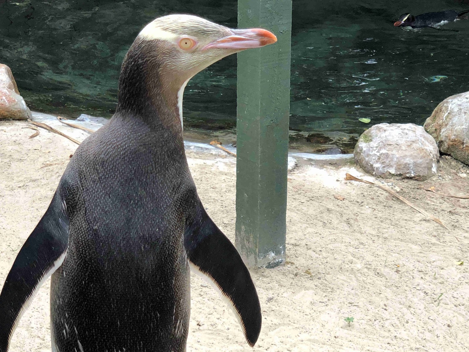 Ray and Traci's Great Adventure Blog: A Great Adventure Down Under