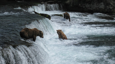 The Natural World: Fishing With Bears: An Interview With Larry Quilling