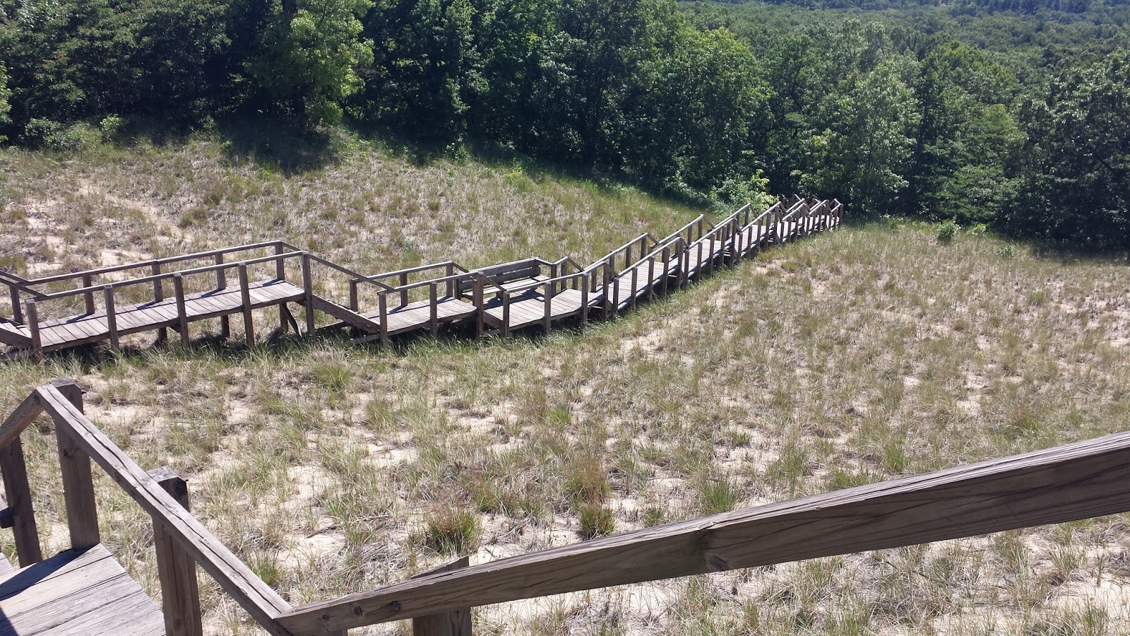 Wilderness Wanderings: Indiana Dunes, Trail-running 8, 9, 10