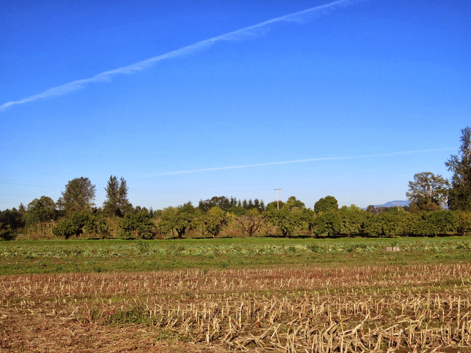 Photos by Jan: A Trip to Detering Orchards; in Harrisburg, Oregon