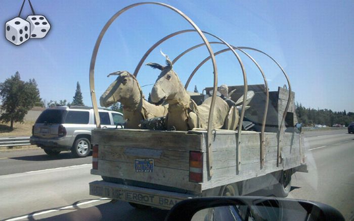 La Tercera Venezuela: Tuki's World: Tukimoviles