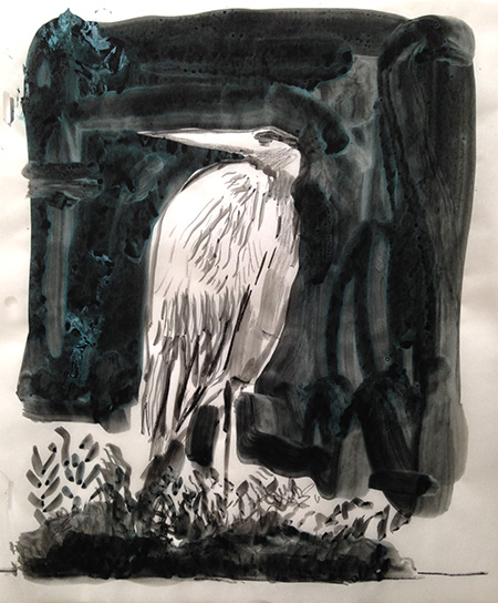 ROBSERVATIONS: Heron: Loiterer, Lingerer