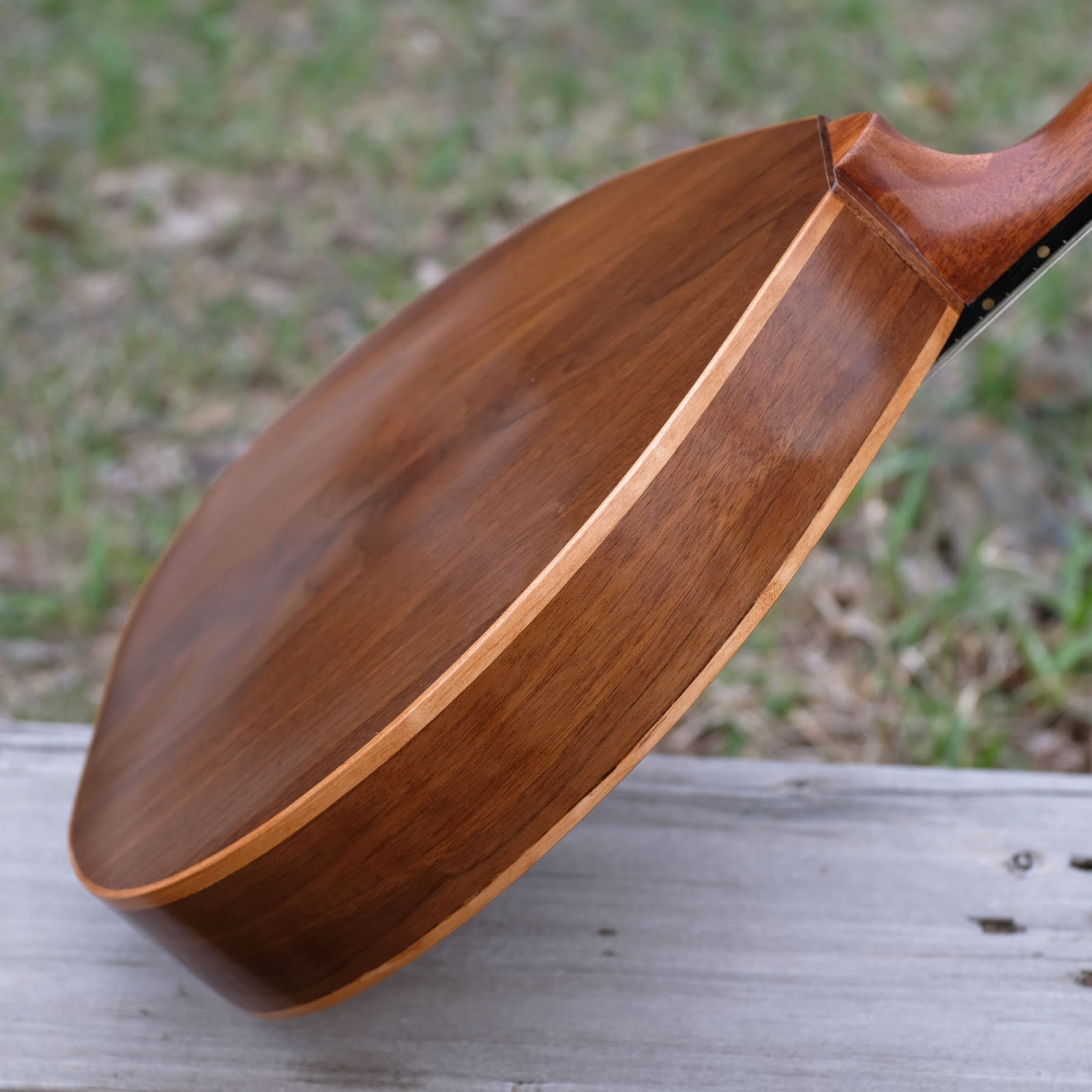 2010 Gypsy's Music Nylon-String Mandolin