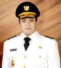 Profil Biodata Dede Yusuf