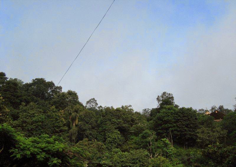 Shri Shridhara Ashram,Varadalli Sirsi Attractions