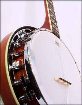 Banjo Heaven: Learn Don Reno's Banjo Style Of Playing