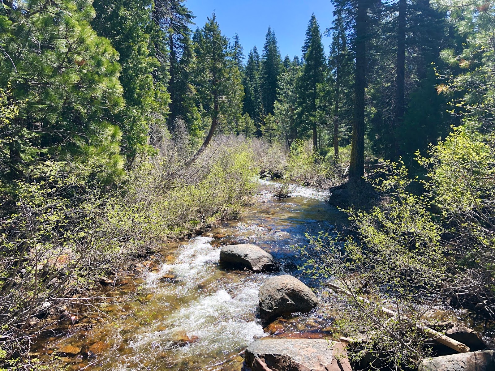 Crystal Basin Boondocking - Memorial Day 2020