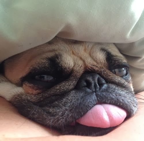 Chatty Crone: Fun Friday with a little help from my friends...