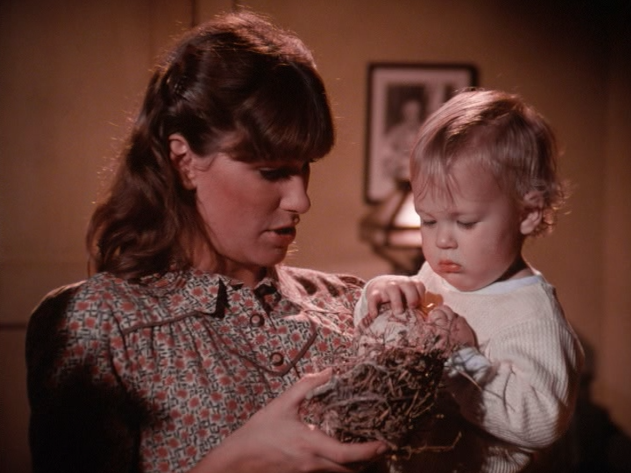 Christmas TV History: Waltons Christmas Recap