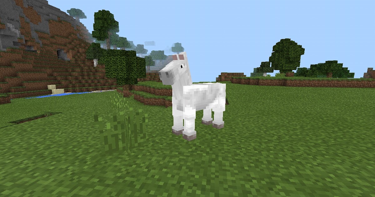 5 Tipe Kuda Di Minecraft PE ~ Indonesian Minecraft Twenty One