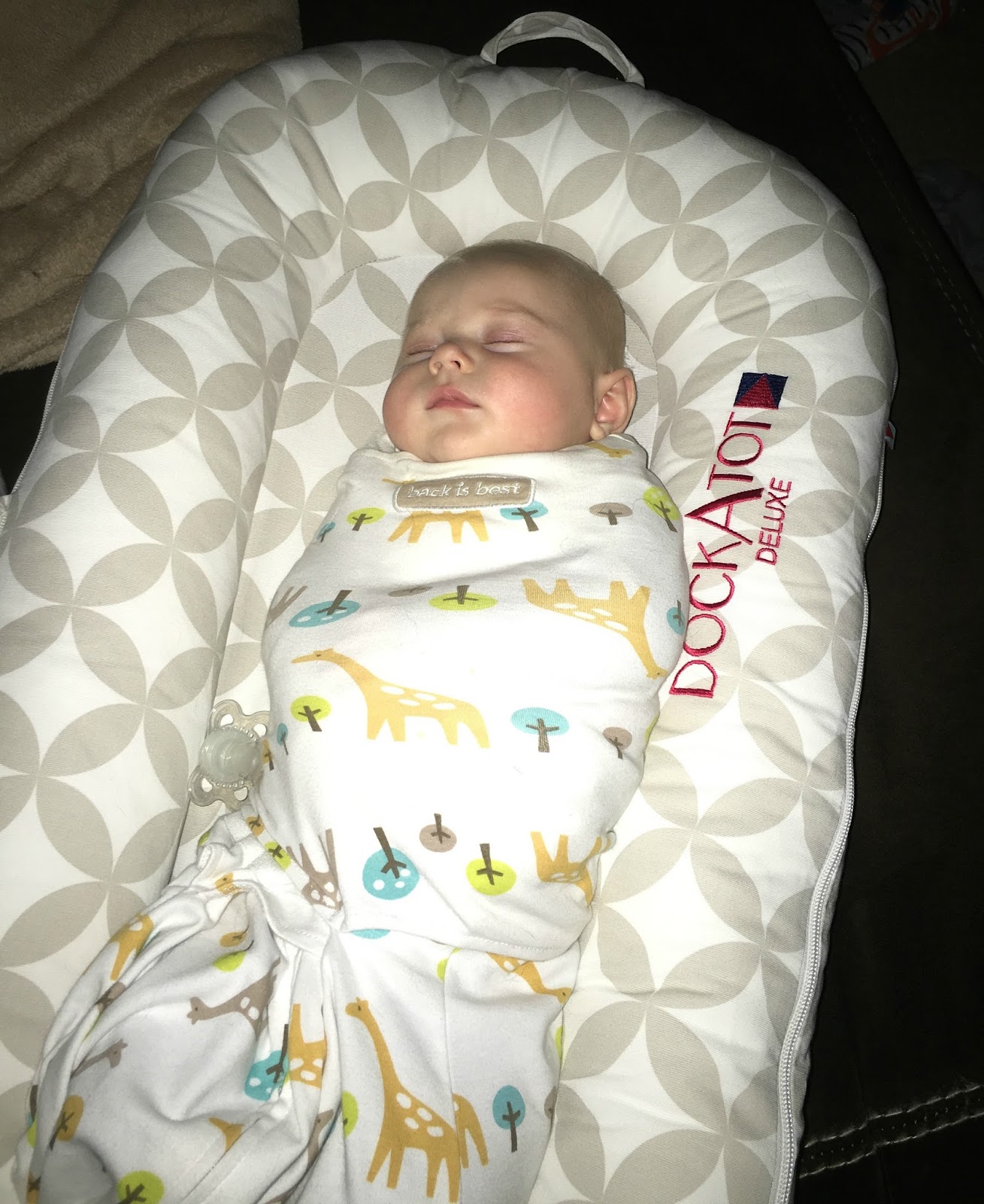 The Brooksie Life: Dockatot Review