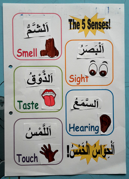 Picnic Panda's Learning Journey: Science/Arabic - The 5 Senses