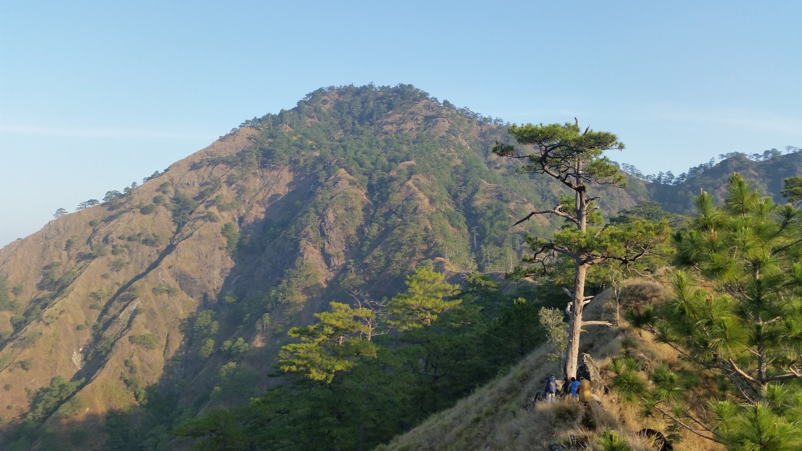 Wandering Den: Mt. Sicapoo: Road to Penguin