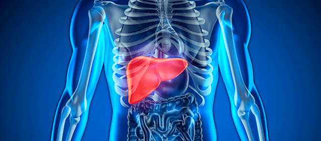 Síntomas y tratamiento para un hígado inflamado - Remedio Natural