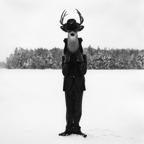 Landscape Photography | Thinking Outside the Boxwood