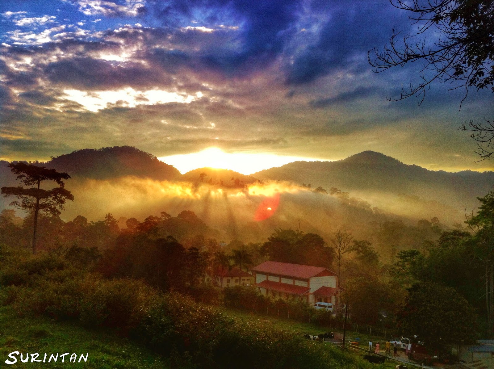 iPhone 4: Cow Farm at Janda Baik, Pahang | Surintan iPhone Photography