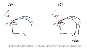 The English Fricatives - Tanvir's Blog