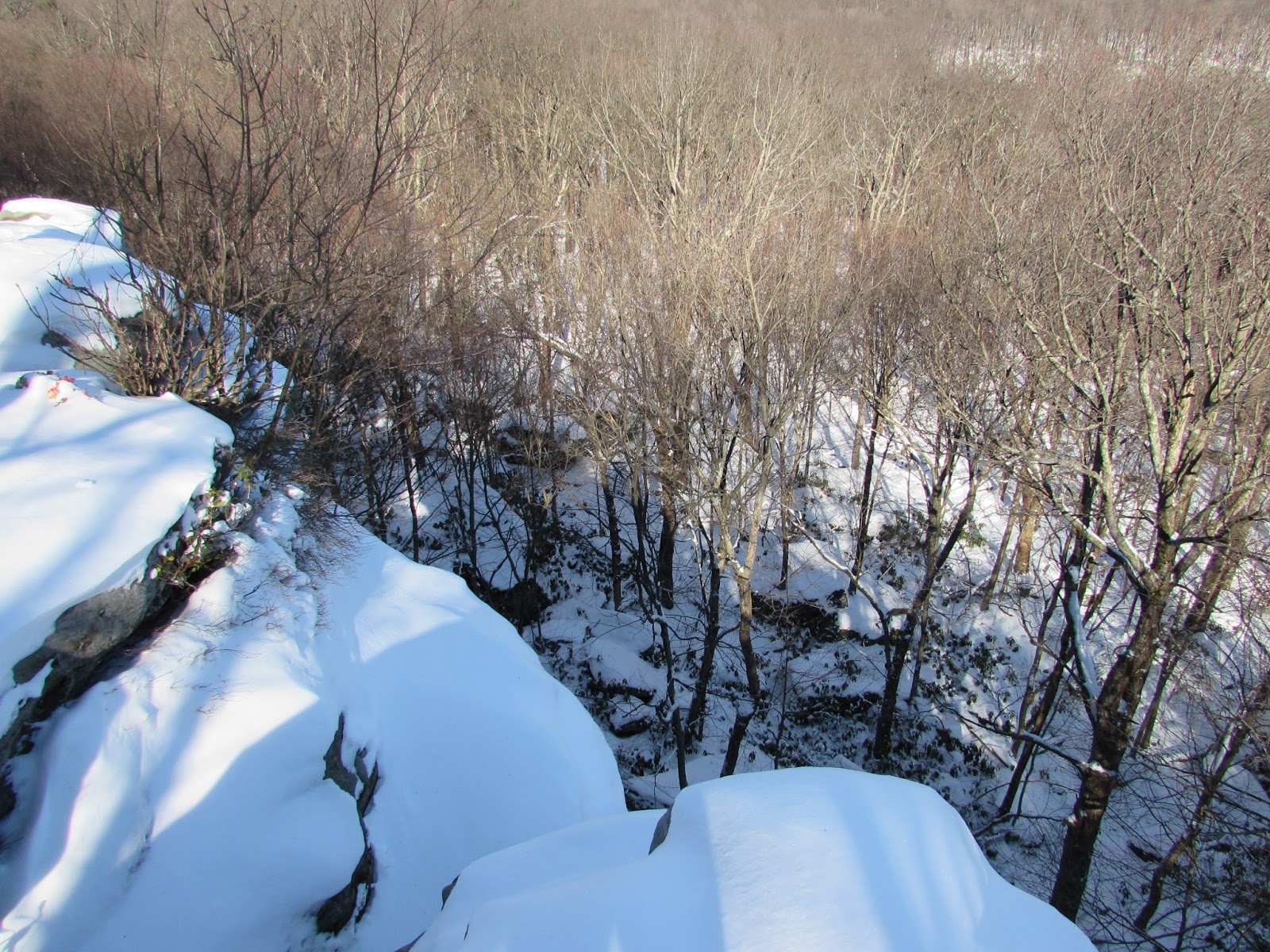 Wolf Rocks and Beam Rocks Overlook Hikes, Forbes State Forest, Somerset ...