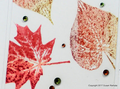 Simplicity by Lateblossom: An Experiment with Spritzing Proves the Rule