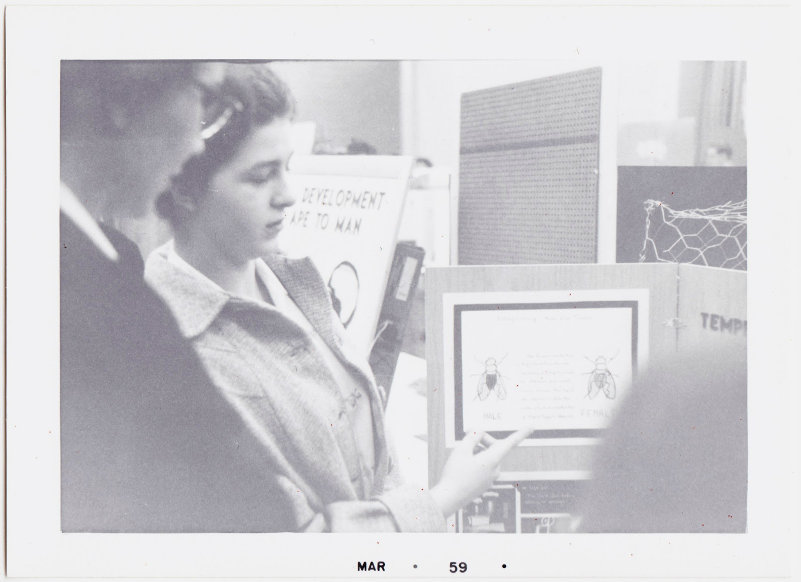 Papergreat: Snapshots from a 1959 science fair