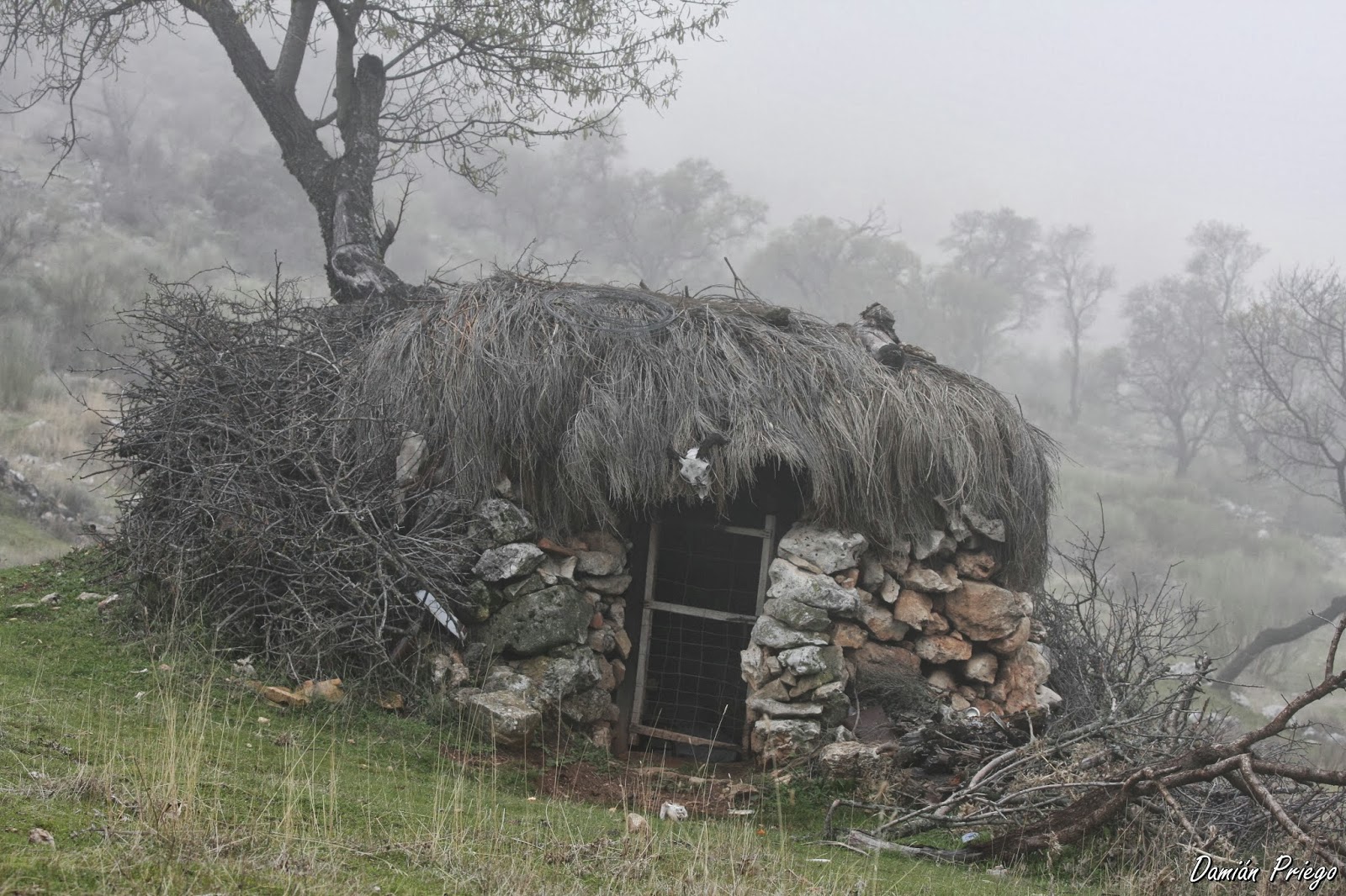 MIRADAS DE ENCANTO : Choza de Carlos el Pastor