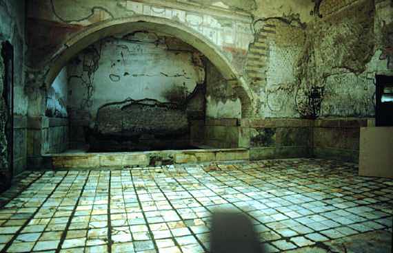The Bell Curve of Life: Herculaneum: The Suburban Baths