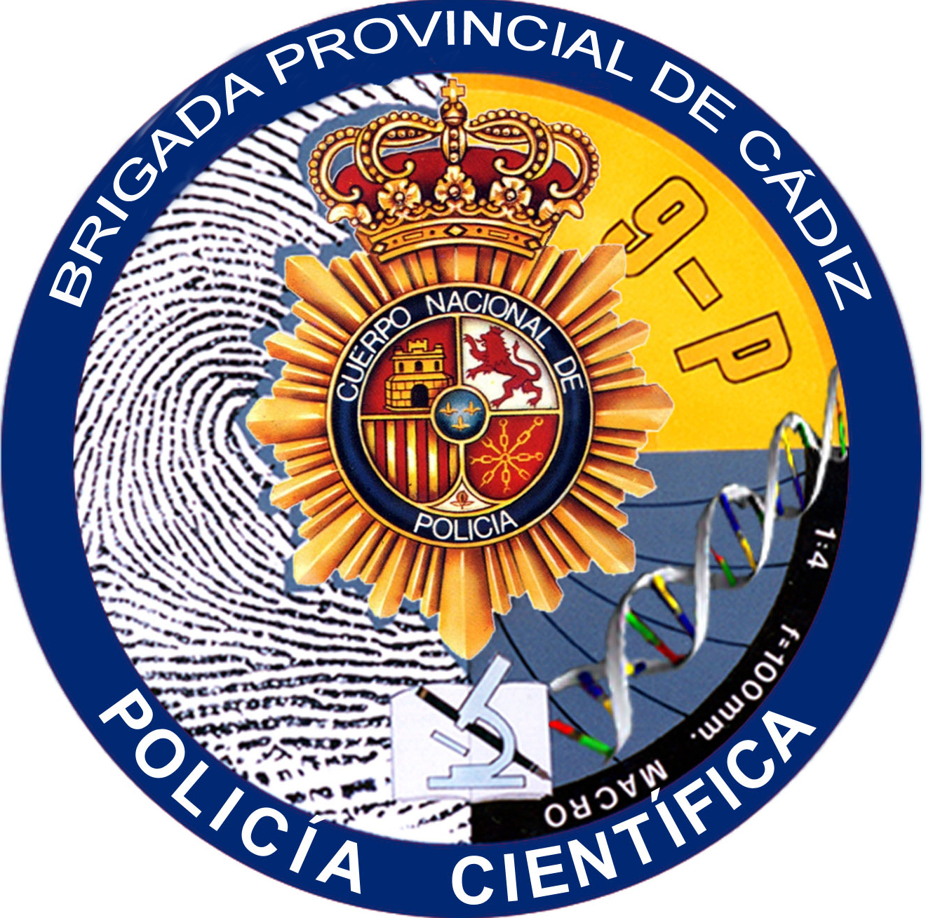 IMAGEN: Escudos y emblemas del CNP