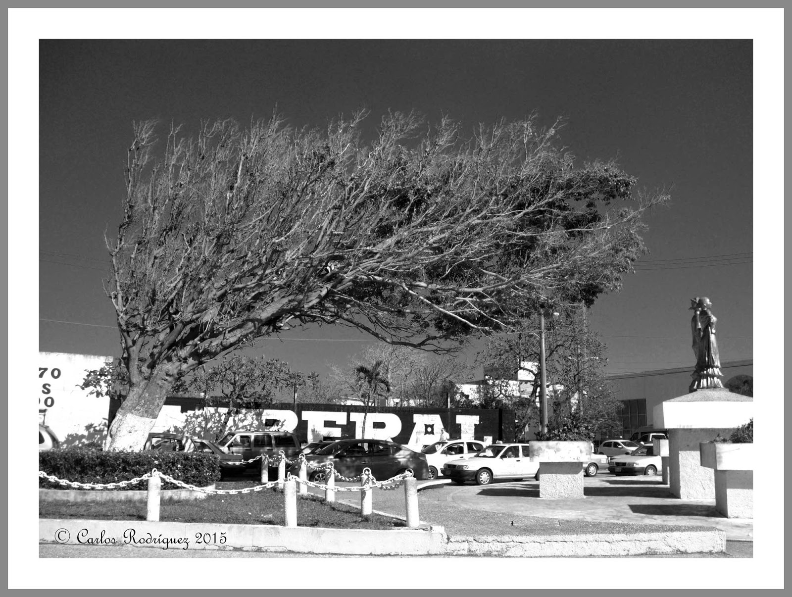 13 tips para crear fotos inusuales - Carlos Rodríguez Fotógrafo Blog