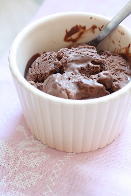 rich chocolate ice cream: chocolate delight